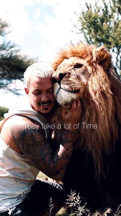 Values🦁 Youtube
