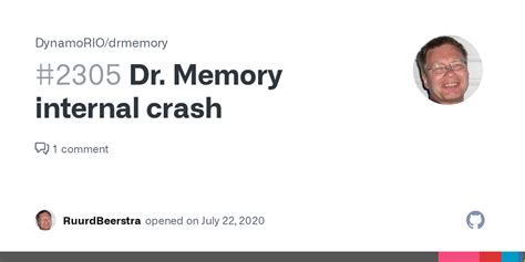 dr memory internal crash · issue 2305 · dynamorio drmemory · github
