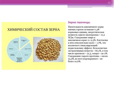 Концентрированные корма в животноводстве - презентация онлайн