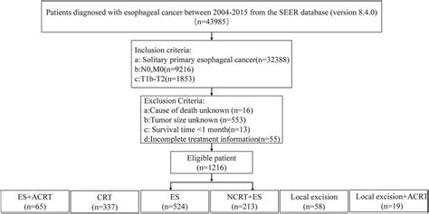 The Flowchart Of The Data Filtering Process Seer Surveilance