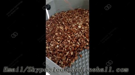 Hazelnut Shell And Kernel Separating Machine Youtube