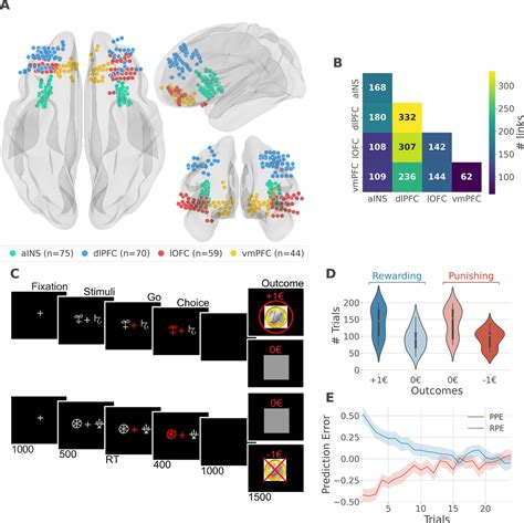 orbitofrontaler cortex