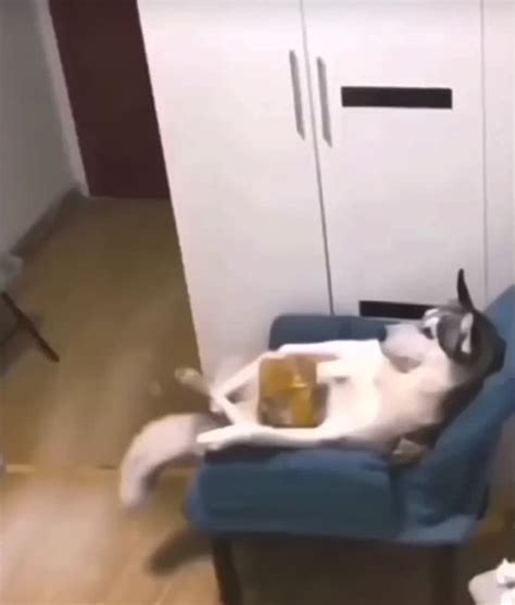 Lori C On Linkedin Heres To Your Weekend Being As Chill As This