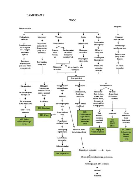 Pathway Ileus Pdf