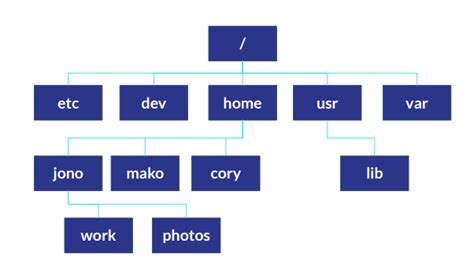 Introducción A La Terminal Y Línea De Comandos Any Things