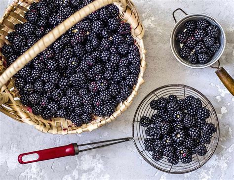 How To Remove Seeds From Blackberries For Jam Storables