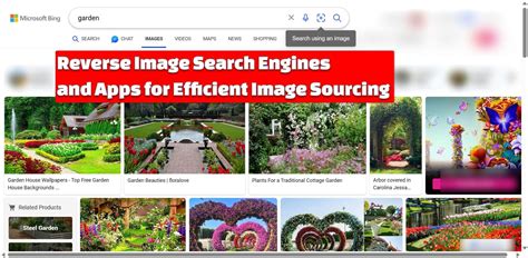 20 Reverse Image Search Engines and Apps for Efficient Image Sourcing (2023) - GoPublic : r ...