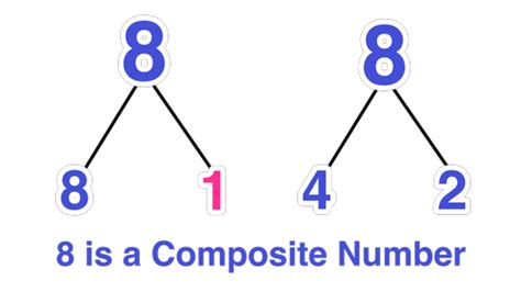 What Is A Composite Number Explained — Mashup Math