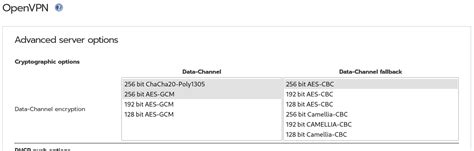 openvpn 2 6 development version openvpn ipfire community