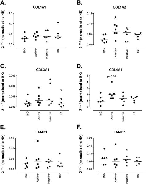 expression of mrna for ecm genes by conditionally immortalised