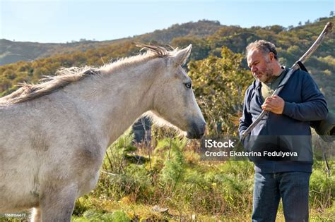 성숙한 수염을 기르는 남자가 시골 목초지에서 하이킹을하는 동안 흰 말을 만난다 우정과 관계 개념 웰빙과 자연과의 단합 산으로 가는 길 60 64세에 대한 스톡 사진 및 기타
