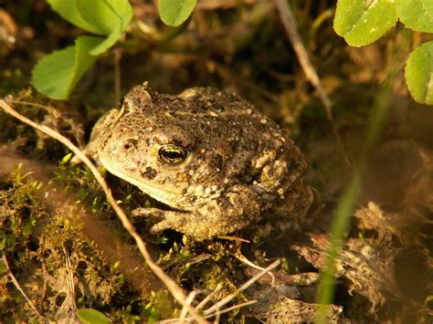 Egholm Egholm Vestergaard