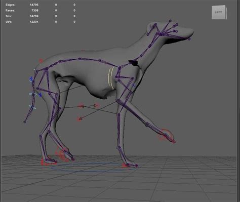 pls help me with my rig r maya