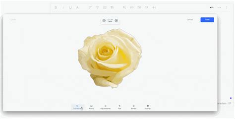 Explore The Transformation Options Within The Froala New File Uploading Tool