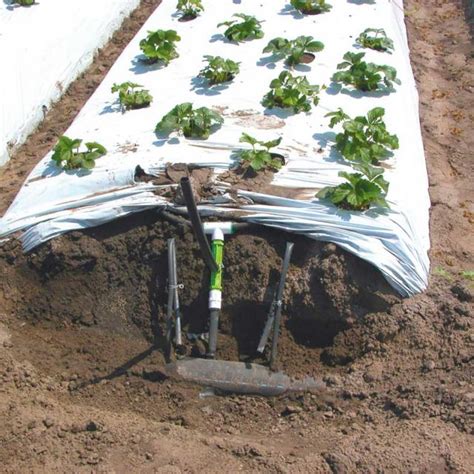 Subsurface Drip System