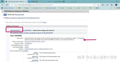 同源重组法构建质粒图谱 知乎