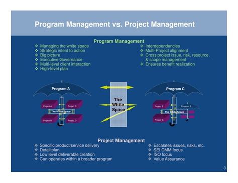 Program Mgmt Overview Pdf Business Business And Finance