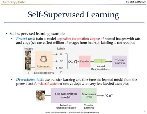 Lecture Self Supervised Learning Pptx Computing Technology Computing