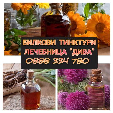 💚 Бях ШОКИРАН колко по лесно беше да ДИШАМ след приема на Билковите капсули за чист Бял дроб и