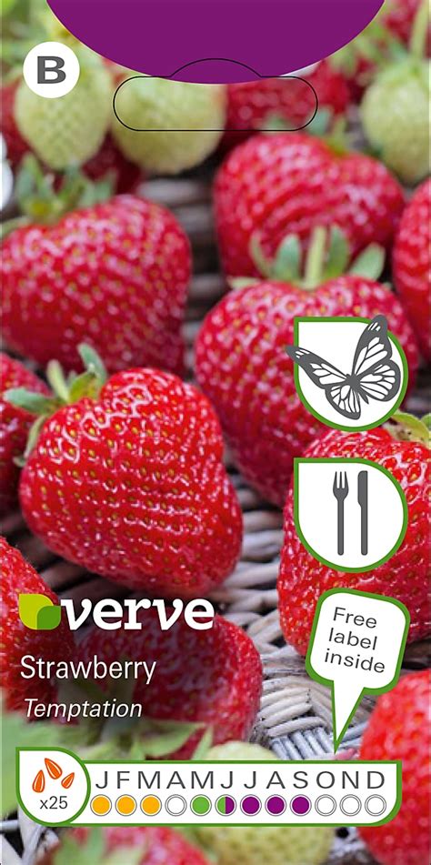 Verve Strawberry Temptation Fruit Seeds