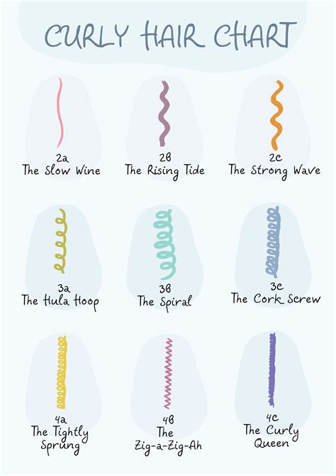 Curly Hair Type Chart Etsy