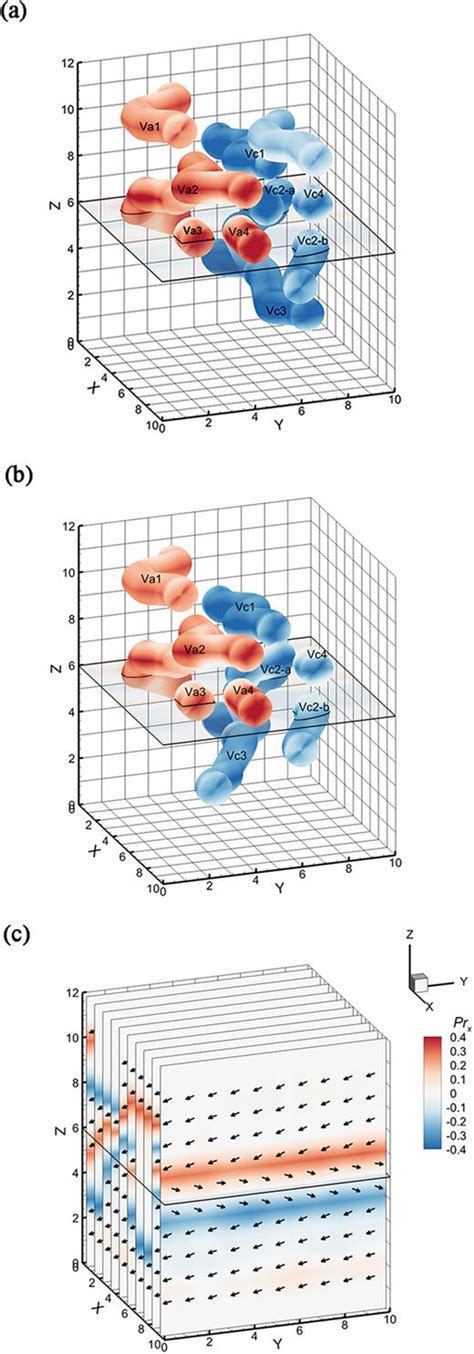 Three Dimensional Polarization Vortex Configuration Evolution In