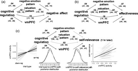 Multilevel Mediation Effects Of Cognitive Regulation—that Is Download Scientific Diagram