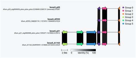 Example GFF Files Issue Gamcil Clinker GitHub