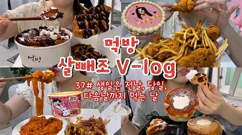먹방브이로그37 하루만에 2kg 찌는 식단 공개🐷 먹을 땐 먹고 뺄 땐 빼면 됨😎 칙촉설빙칙촉크로플또래오래 콘듀치킨