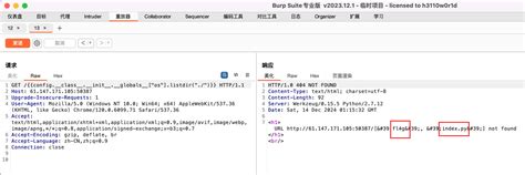 xctf Web python template injection模版注入 知乎