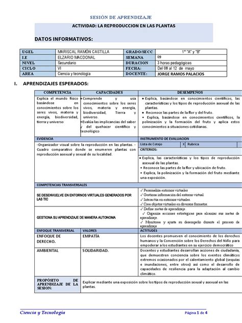 Sesion Cyt 1° 7 Pdf