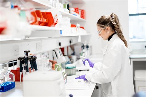 Press Kit Benevolentai