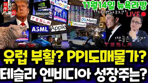 미국주식전기차 에너지 바이오 인공지능 반도체테슬라 엔비디아 구글 애플 아마존 메타 마이크로소프트 팔란티어 아이온큐 델 브로드컴 인텔 Lly등 Tsla Tesla