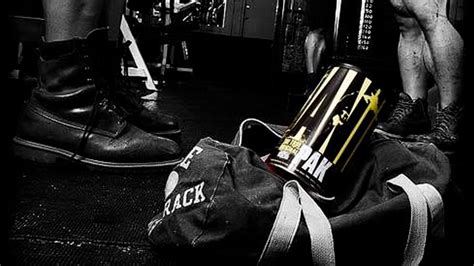 Supplement Company Of The Month: Universal Nutrition