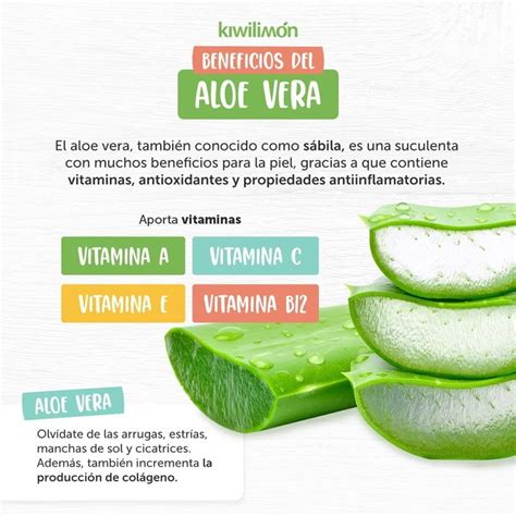 Propiedades Antioxidantes Del Aloe Vera Para Una Piel Radiante