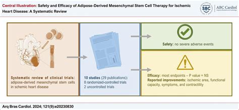 Safety And Efficacy Of Adipose Derived Mesenchymal Stem Cell Therapy