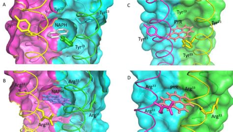 x ray crystal structures of naphthalene naph a b and pyrene pyr