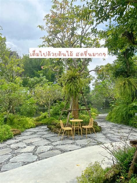 ณ เชอ🌳🍂คาเฟ่เปิดใหม่ ใกล้กรุงเทพฯ🚗 มุมถ่ายรูปเยอะมาก📸 แกลเลอรีที่โพสต์โดย Isfaai Lemon8