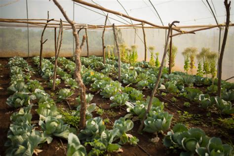 Income Generating Activities Touching Lives Kenya