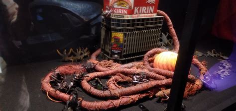 あめ On Twitter 草体