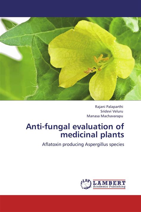 Anti Fungal Evaluation Of Medicinal Plants
