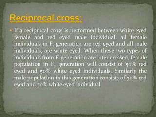 Sex Linked Inheritance PPTX