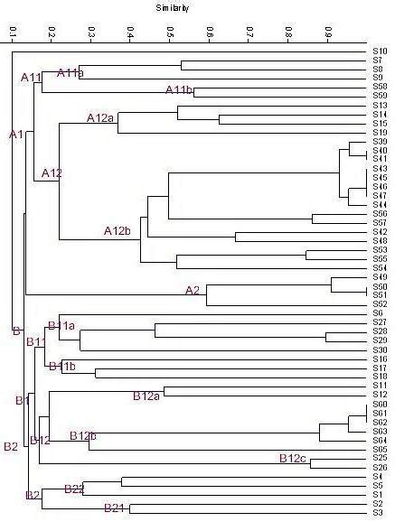 Dendrogram Generated According To Jaccards Coefficient Depicting