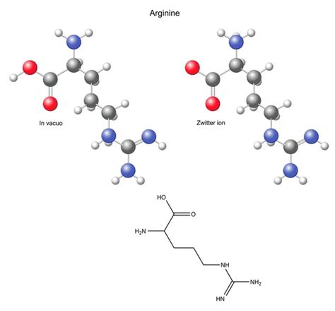 Arginine Stock Vectors, Royalty Free Arginine Illustrations ...