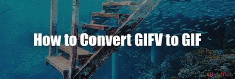 What Is V And How To Convert V To Animated  Directly