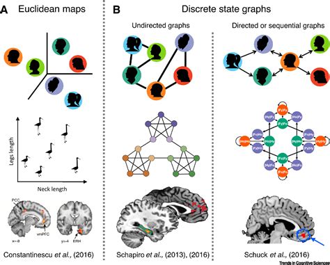 Pdf Structuring Knowledge With Cognitive Maps And Cognitive Graphs