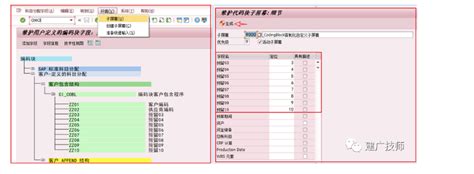 sap coding block增强字段 csdn博客