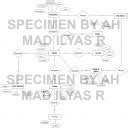 JASA PEMBUATAN DIAGRAM ERD ENTITY RELATIONSHIP DIAGRAM