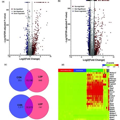 Volcano Plot Depicting Specimen Specific Differenti Gene Expression