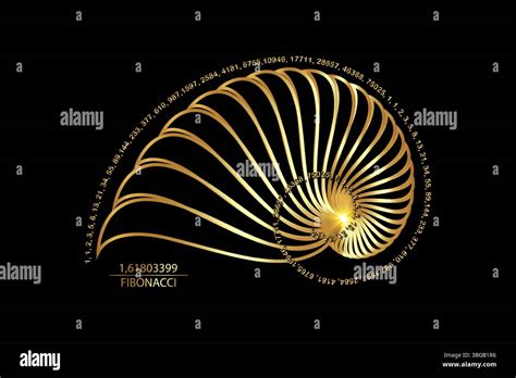 fibonacci sequence golden ratio geometric shapes spiral snail spiral
